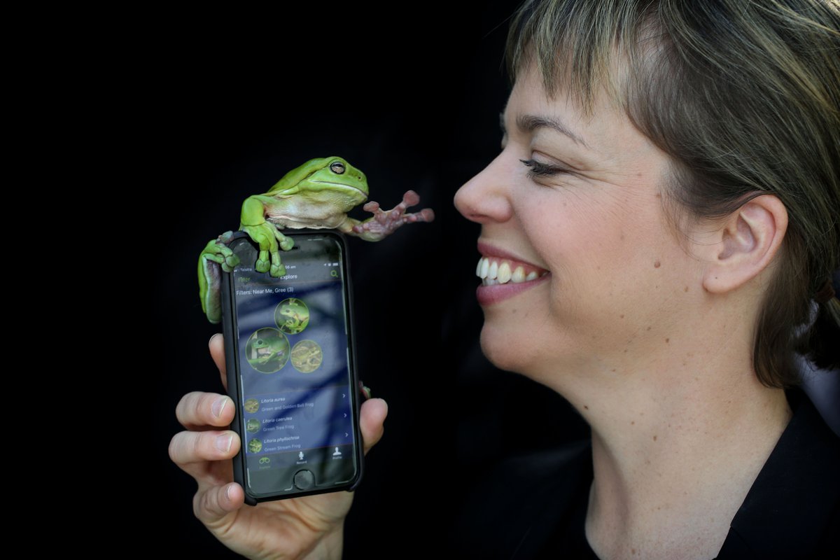 FrogID Week Top Frogger Competition 2024 - The Australian Museum
