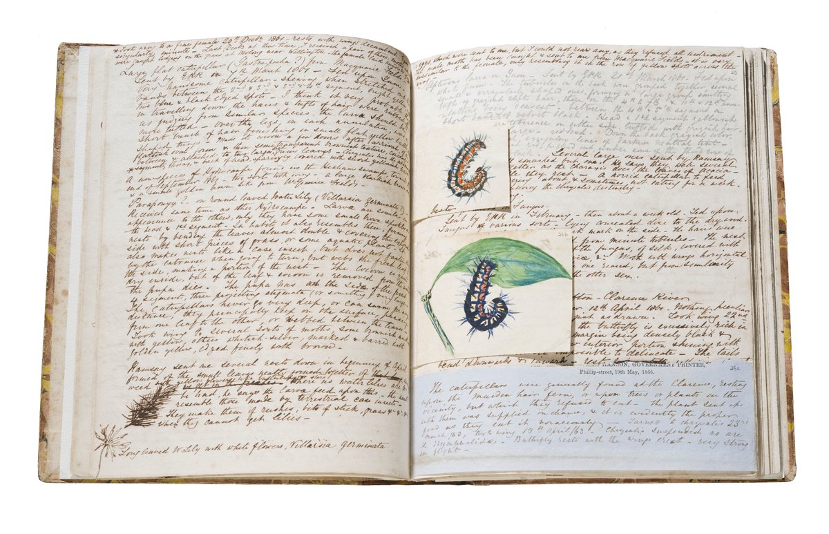Scott Sisters collection added to the UNESCO Australian Memory of the ...