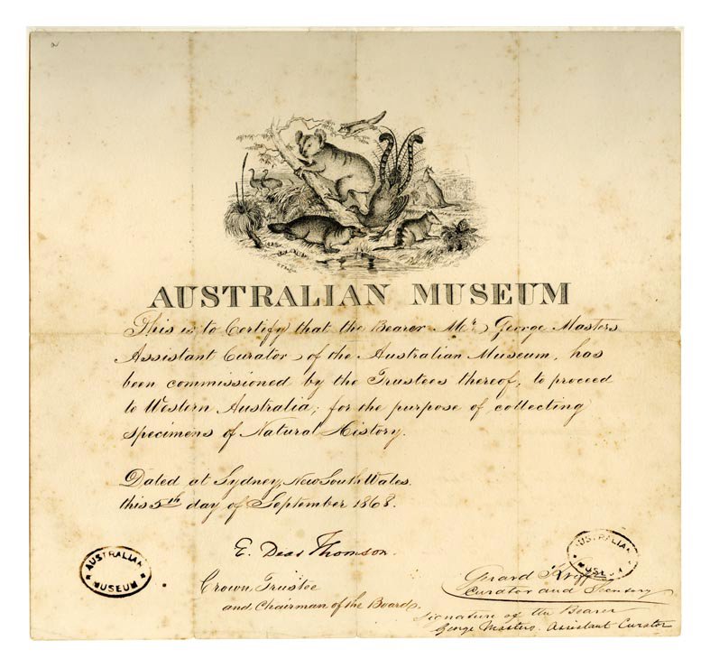A Favourite - George Masters Collection Certificate - The Australian Museum