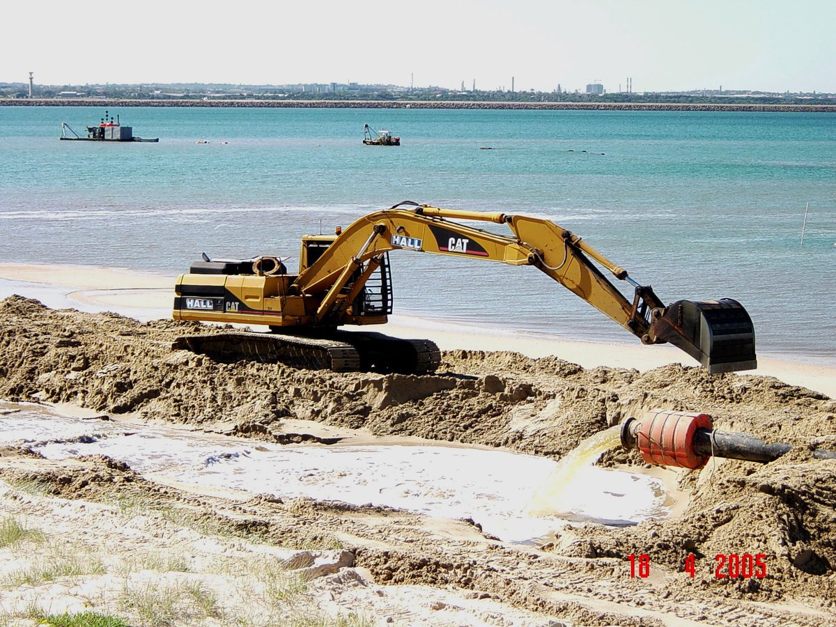 Sandy beach ecology Q & A: More Q than A! - The Australian Museum Blog