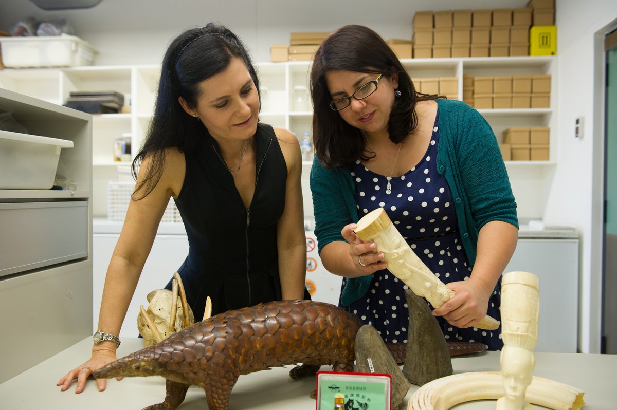 Wildlife forensics facilities at the Australian Museum - The Australian ...