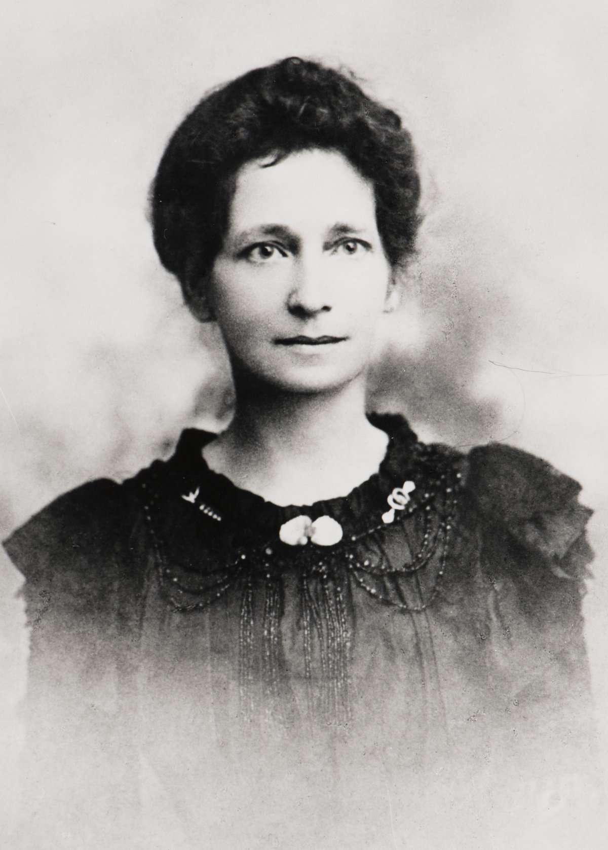 Emily Creaghe - The Australian Museum