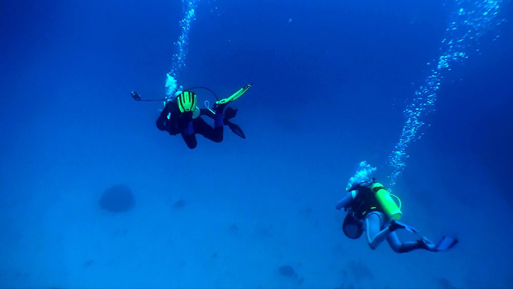 Southern French Polynesia expedition - The Australian Museum