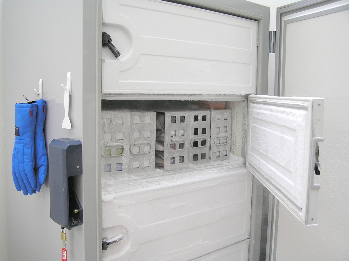 Australian Museum frozen tissue collection