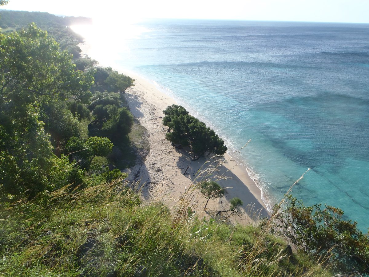 What exactly is museum science and how does it help? (Timor-Leste ...