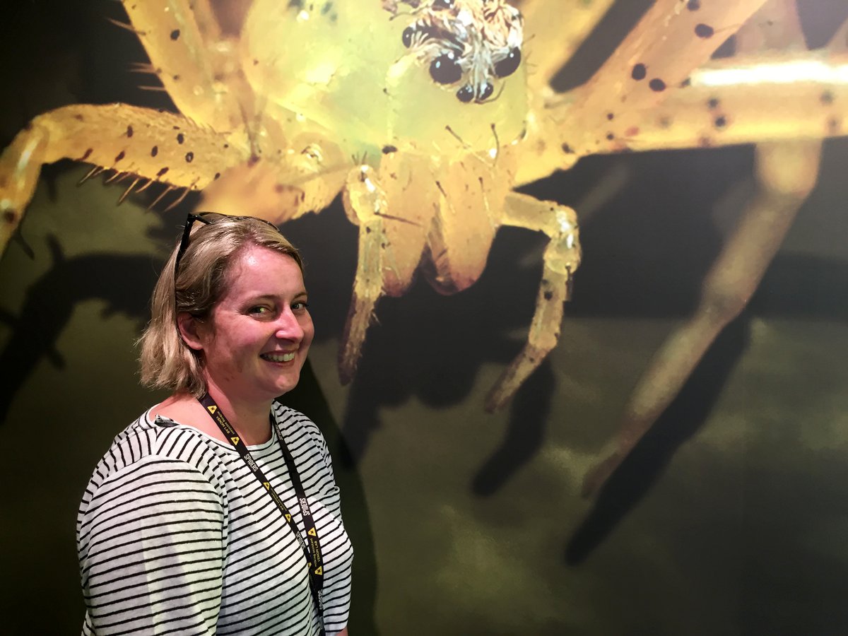 AMplify episode 22: Catherine Timbrell, Exhibition Producer of Spiders ...