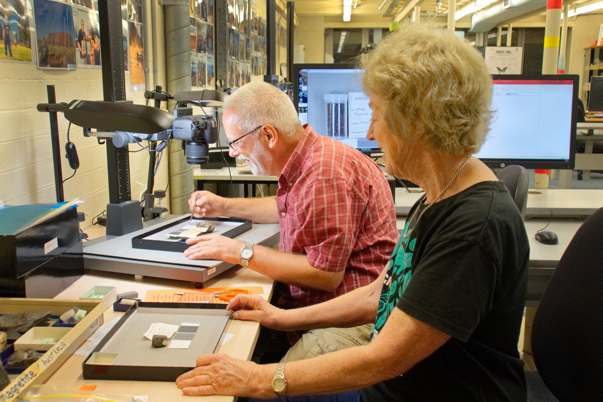 Volunteer - The Australian Museum