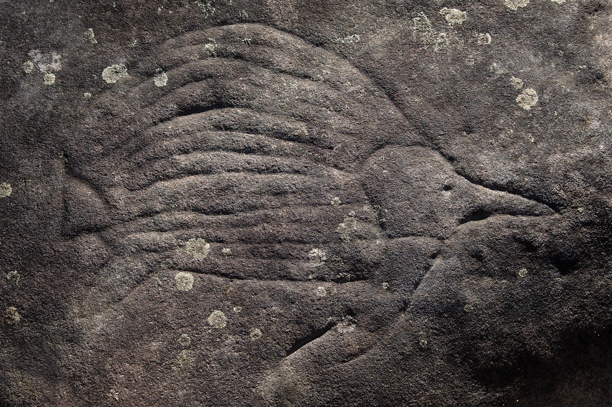 Aboriginal people of coastal Sydney - The Australian Museum