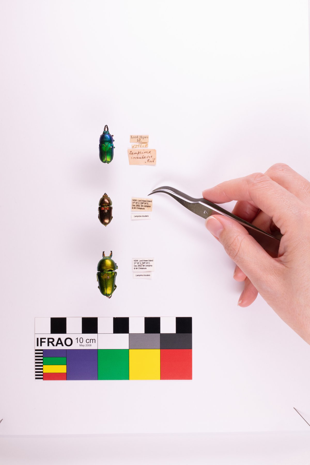 DigiVol: Supporting scientific research at the Australian Museum - The ...