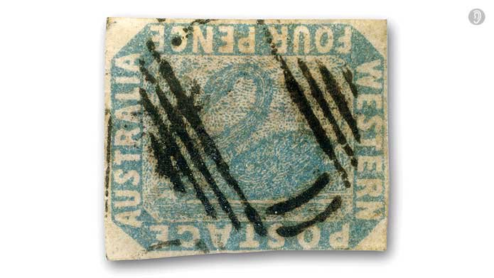 Amy Alfreda Vickery - The Australian Museum