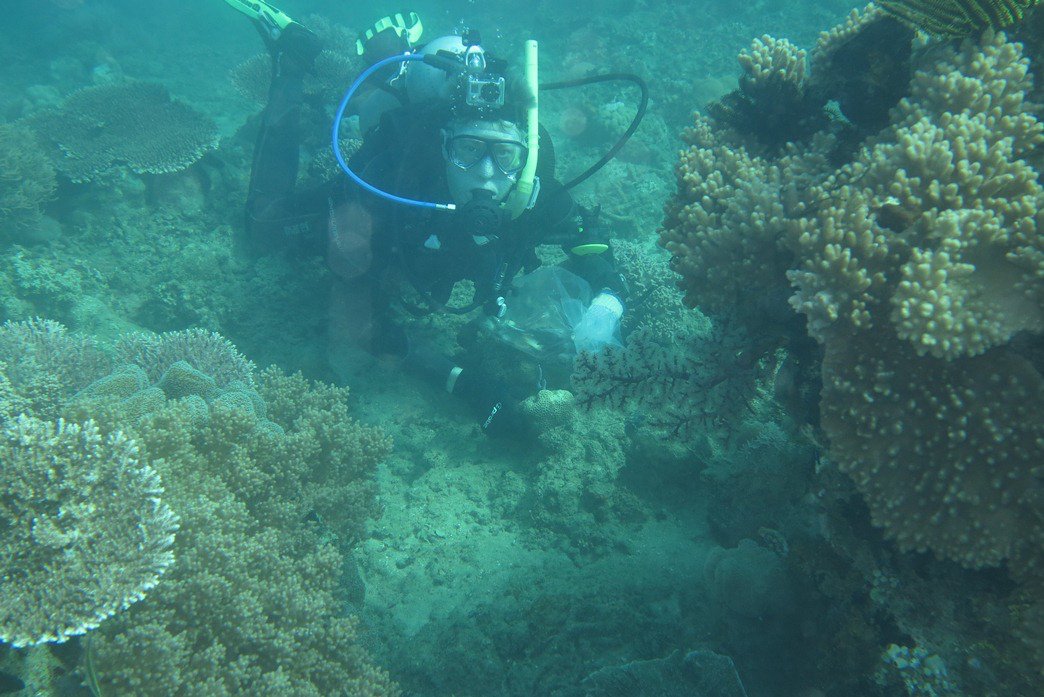 Tips for looking after our oceans - The Australian Museum Blog