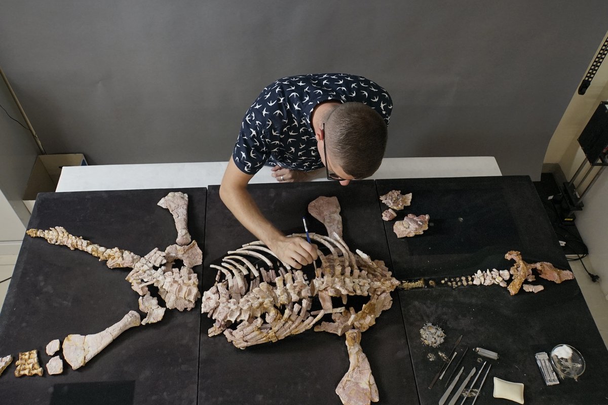 Work at the Museum - The Australian Museum