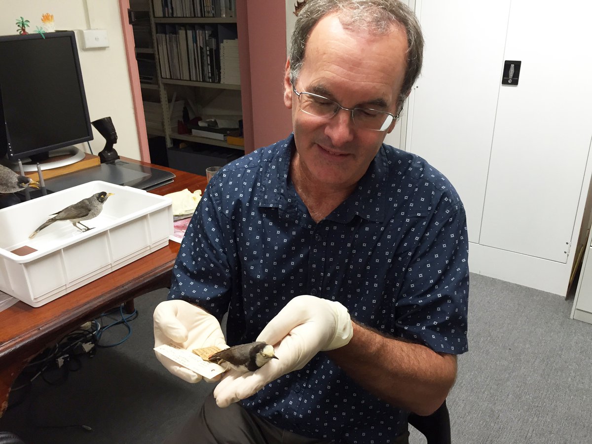 AMplify: Episode 11, Dr Richard Major (part two) - The Australian ...