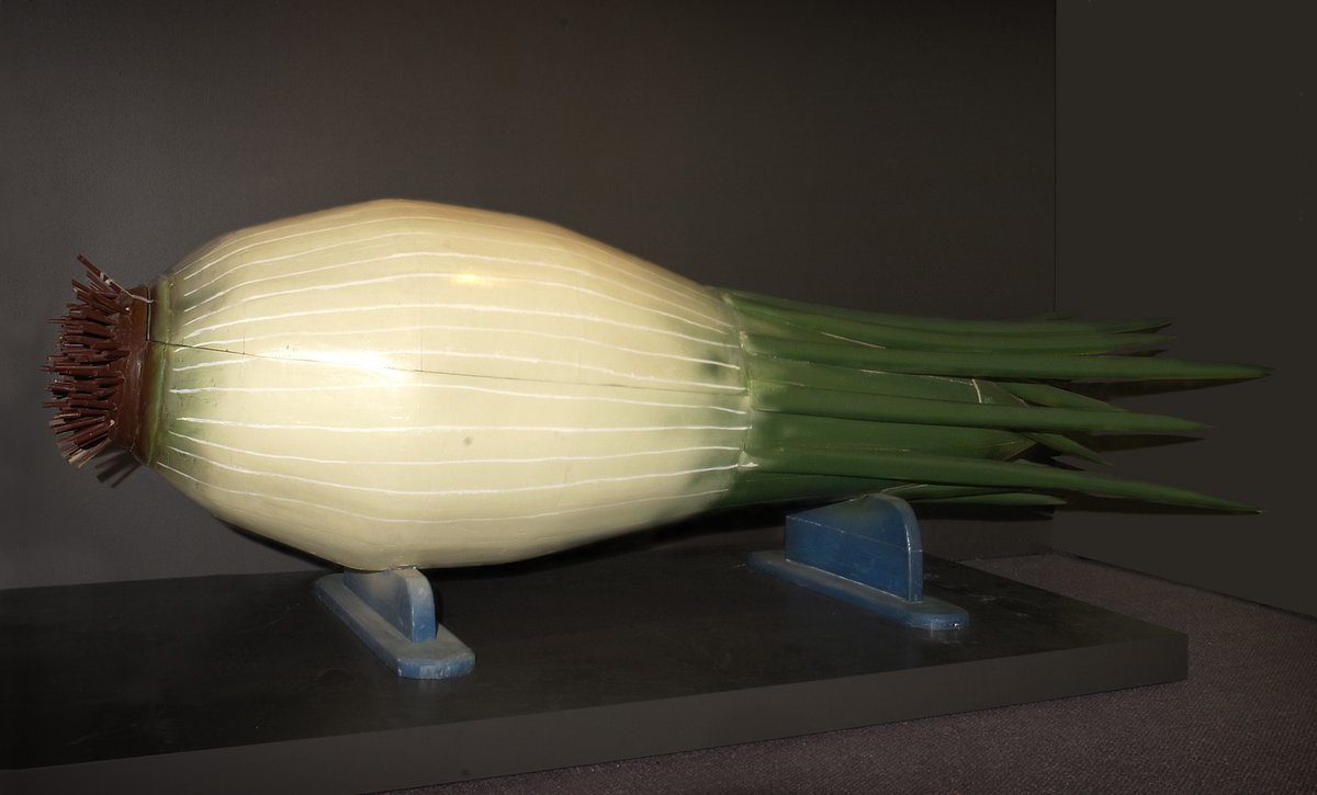 My options after death - The Australian Museum