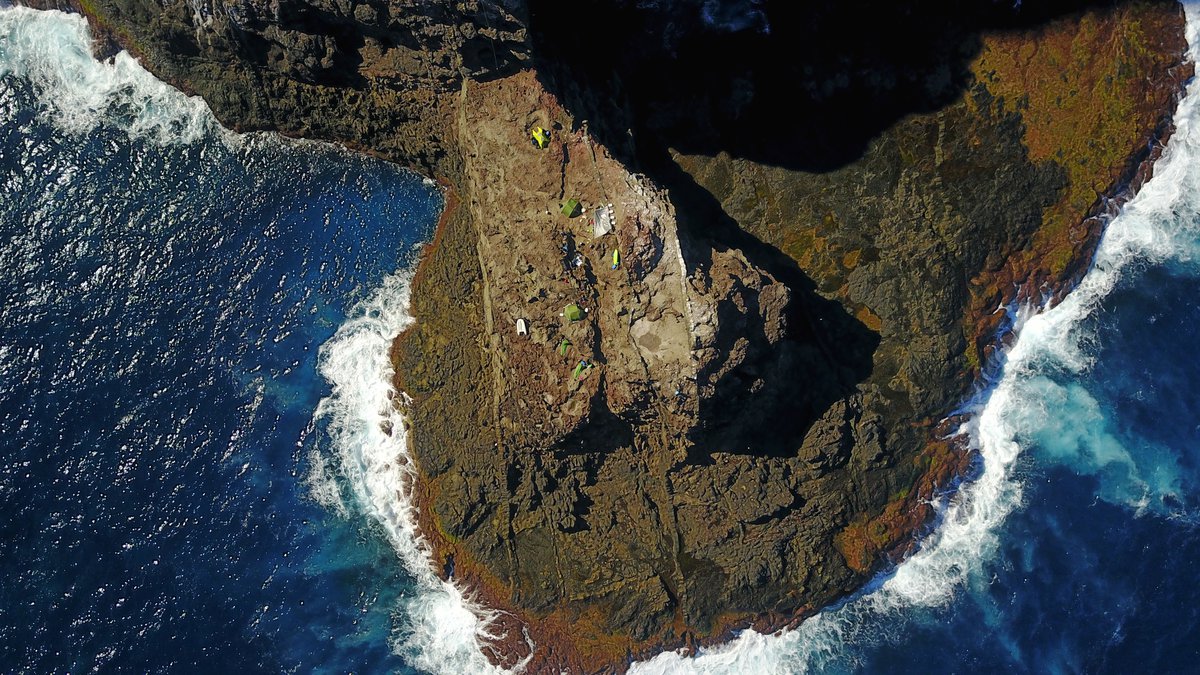Lord Howe Island expedition - The Australian Museum