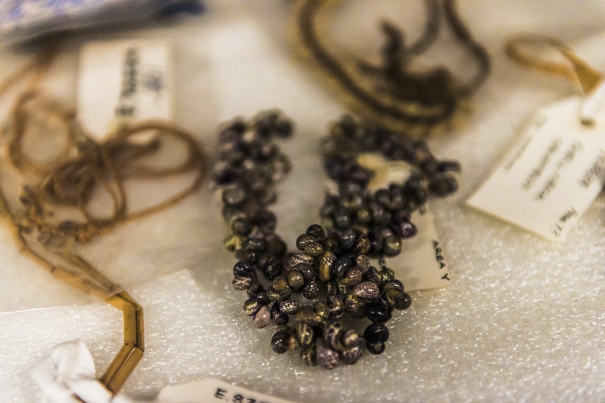 Explore cultural objects, art and technology - The Australian Museum