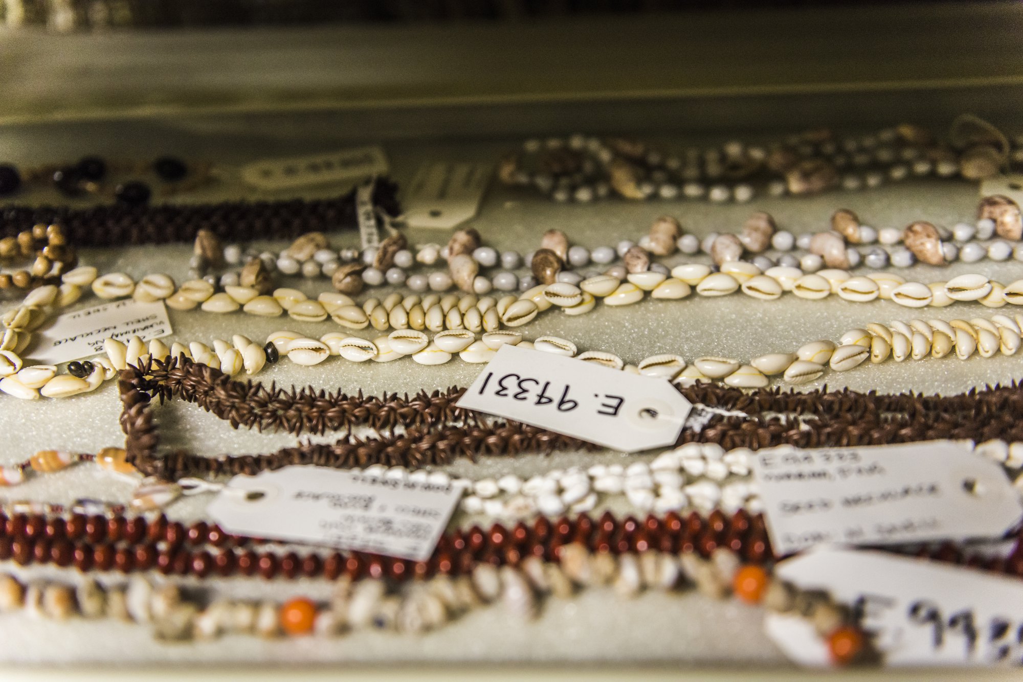 Cultural collections - The Australian Museum