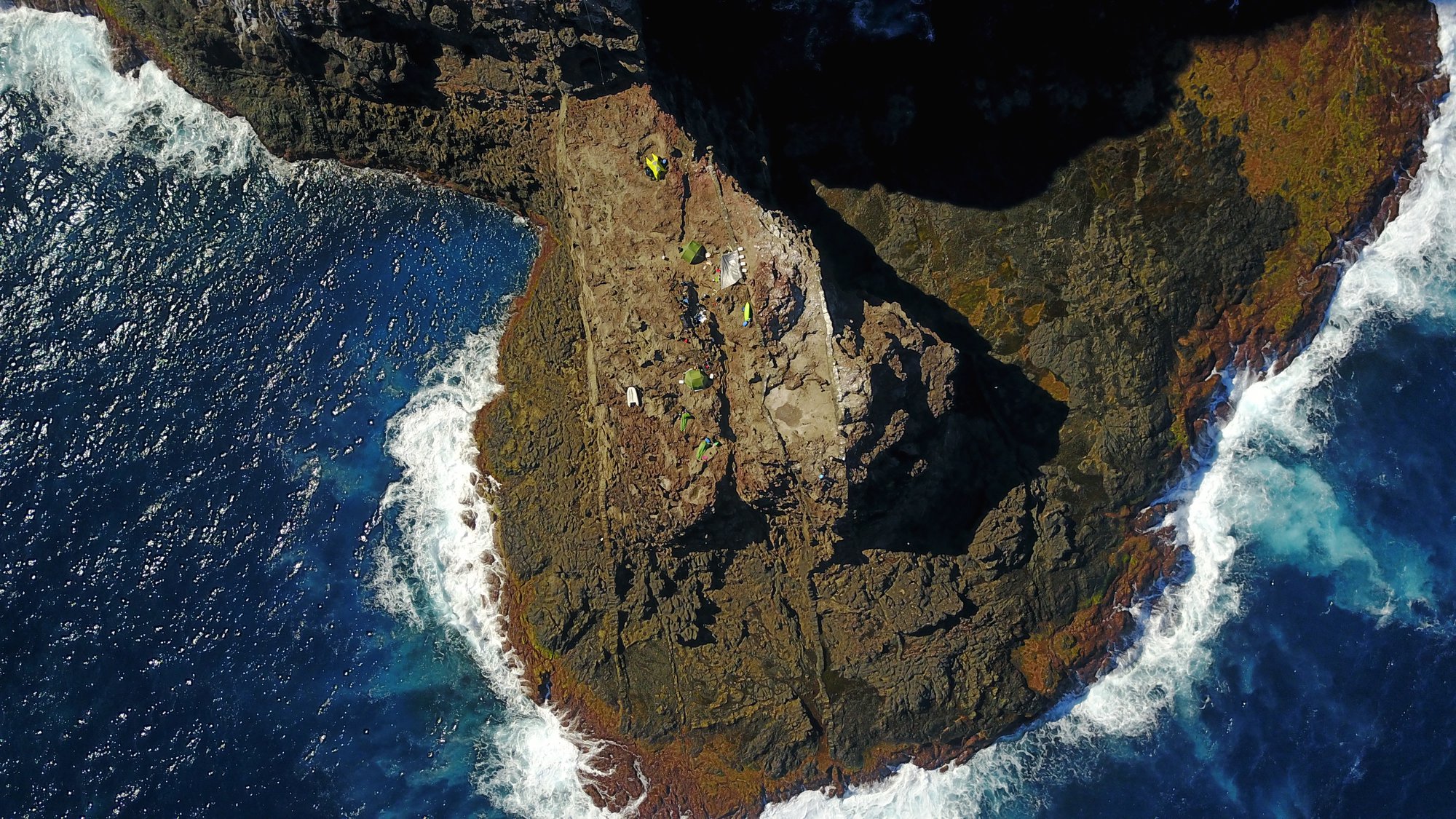Lord Howe Island expedition - The Australian Museum