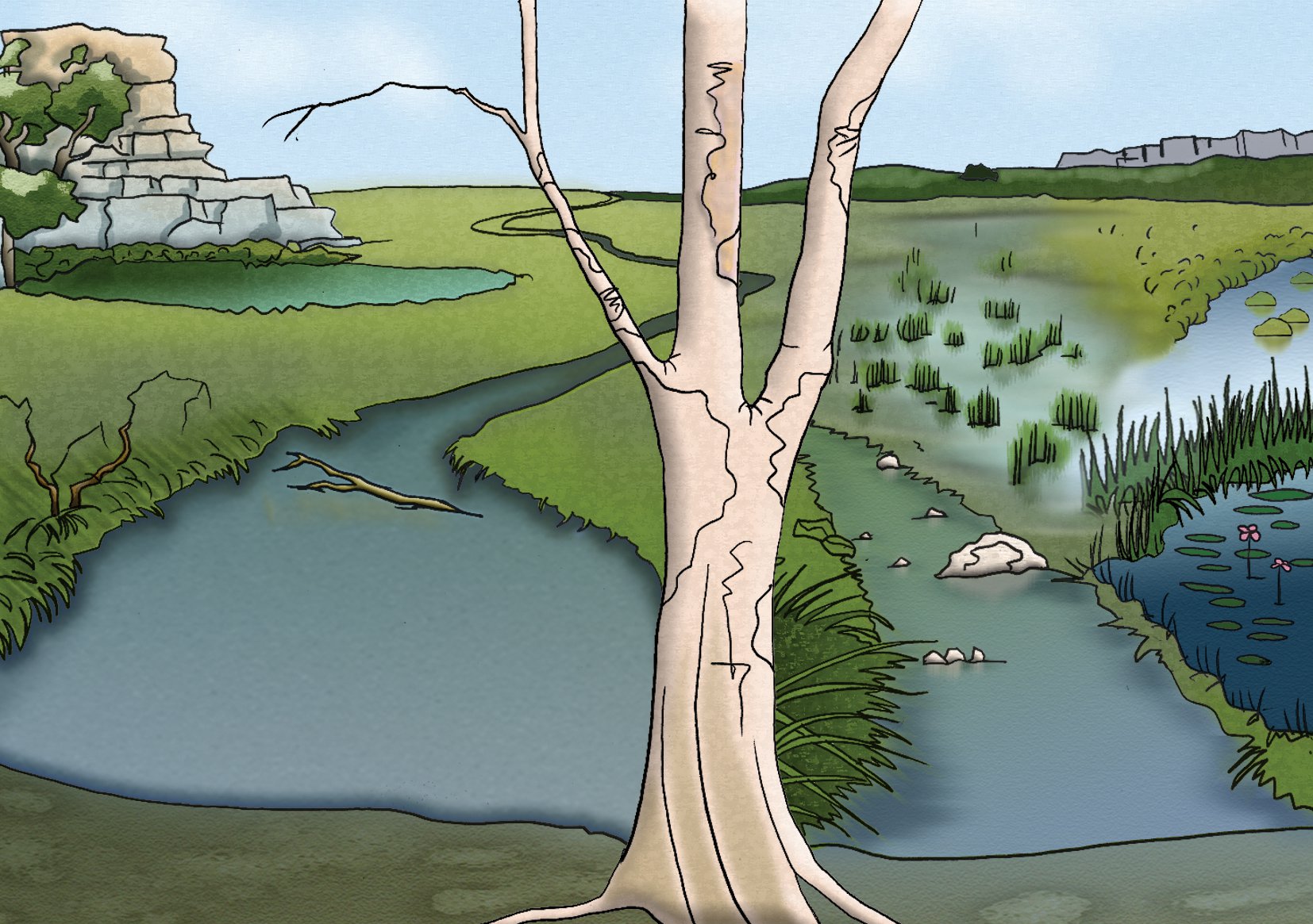 Water and catchment - The Australian Museum