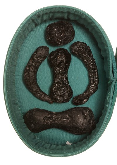 Tektites - The Australian Museum