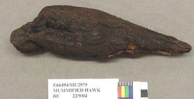 Animal mummies in ancient Egypt - The Australian Museum