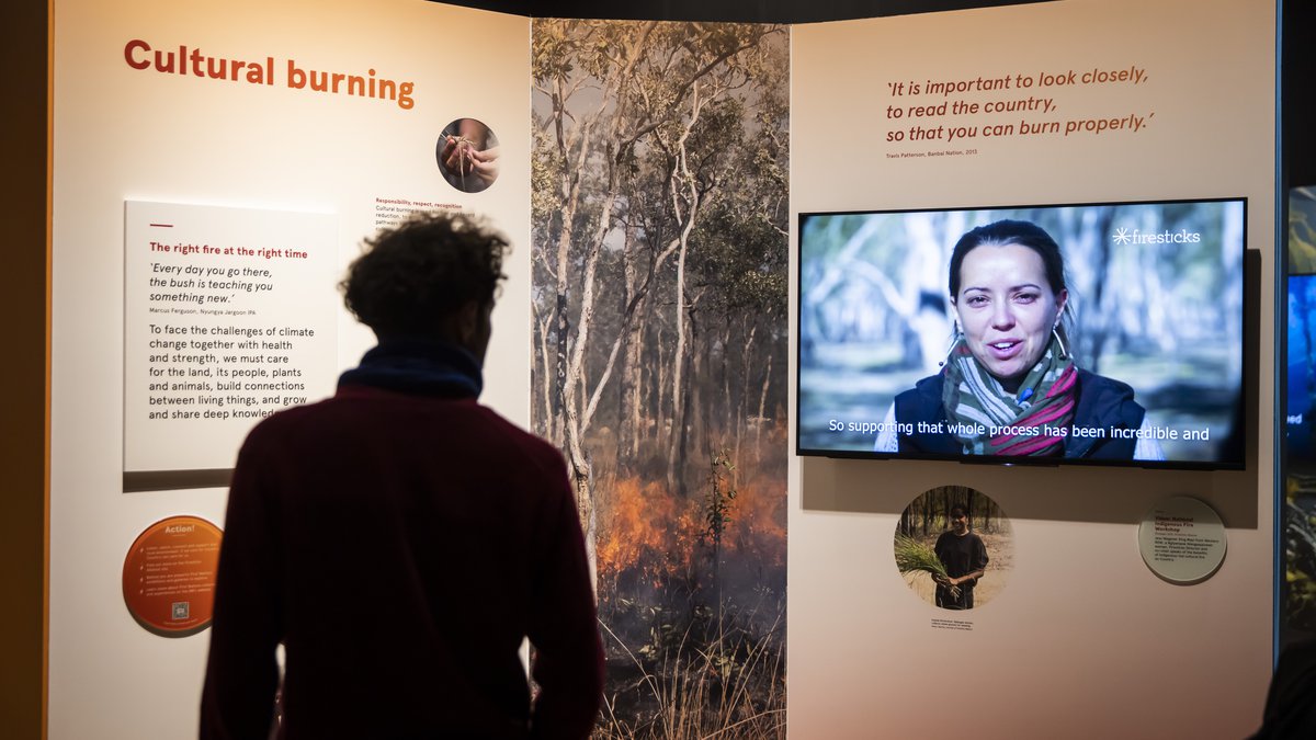 International Museum Day 2022: The Power of Museums - The Australian ...