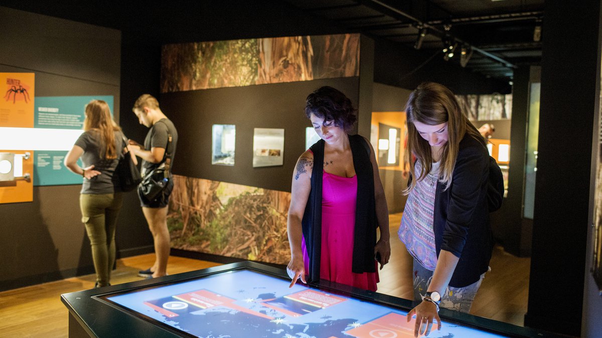Touring exhibition: Spiders – From Fear to Fascination - The Australian ...