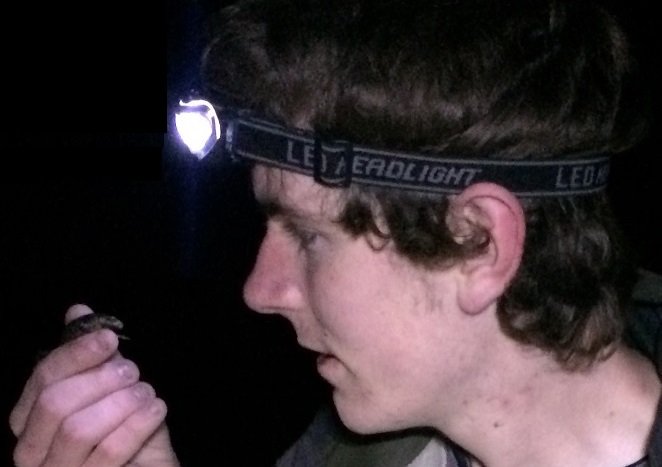 Steven Allain - The Australian Museum