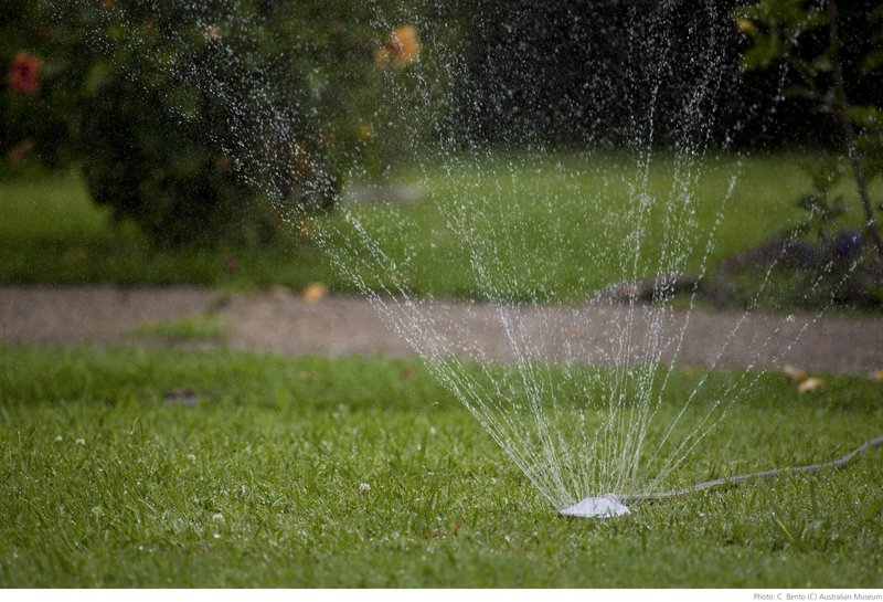 Water around the world - The Australian Museum