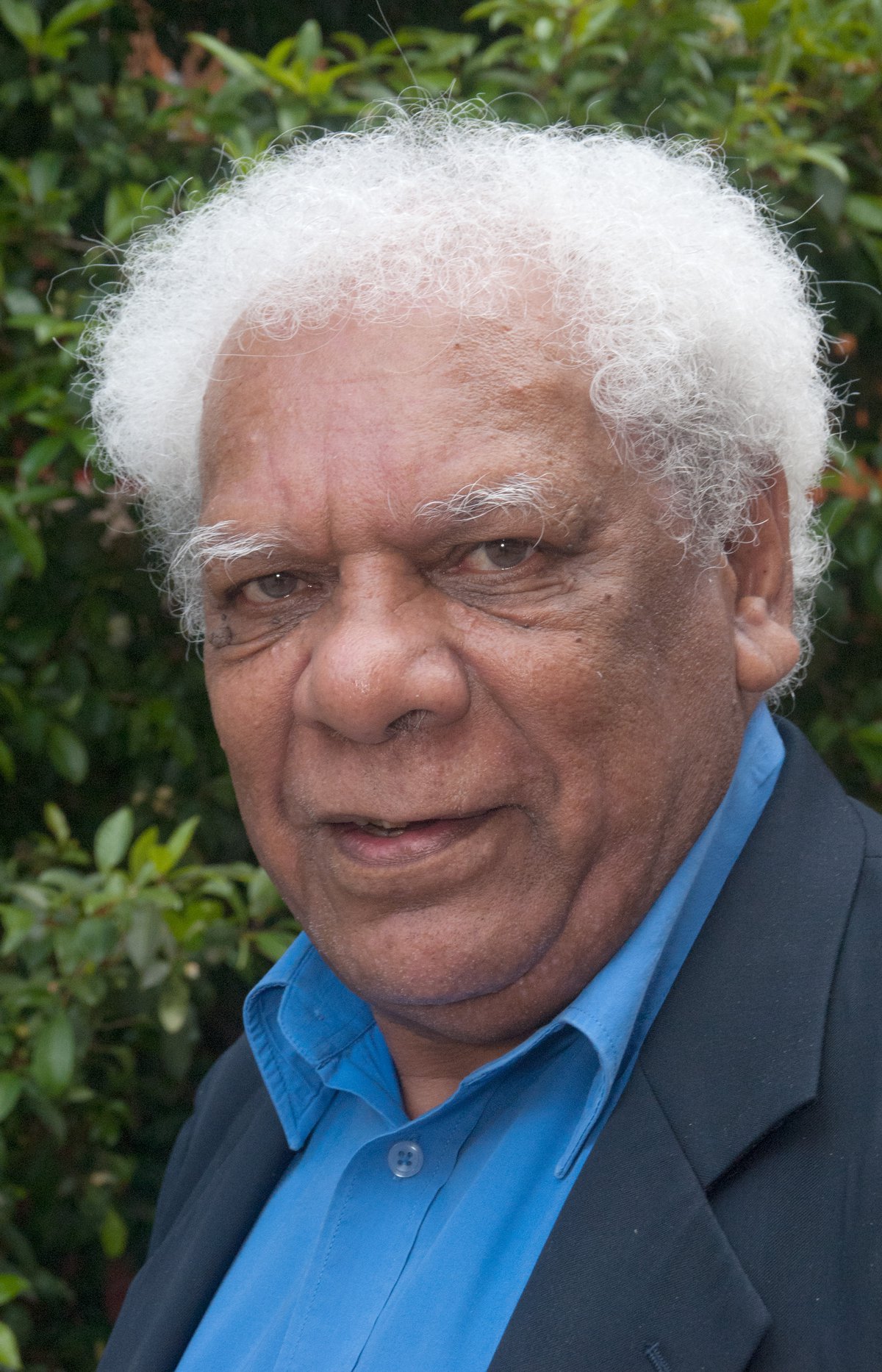 Sol Bellear AO - The Australian Museum