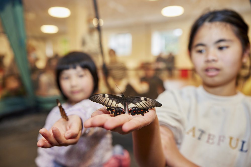 Sydney Science Trail - The Australian Museum