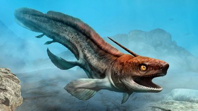 The ancient ones - The Australian Museum