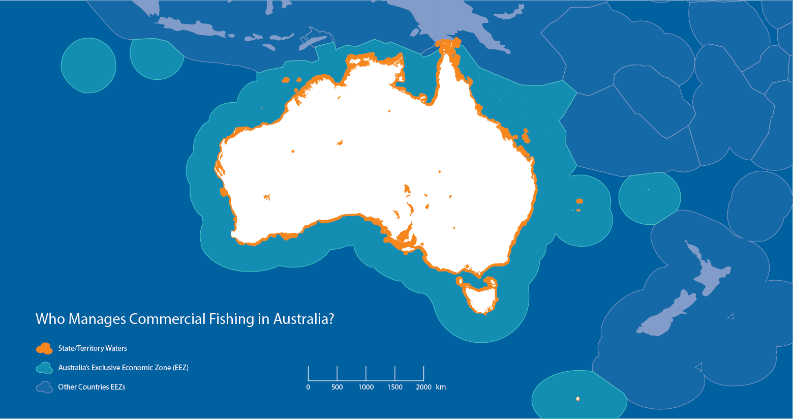 Why oceans need sharks - The Australian Museum