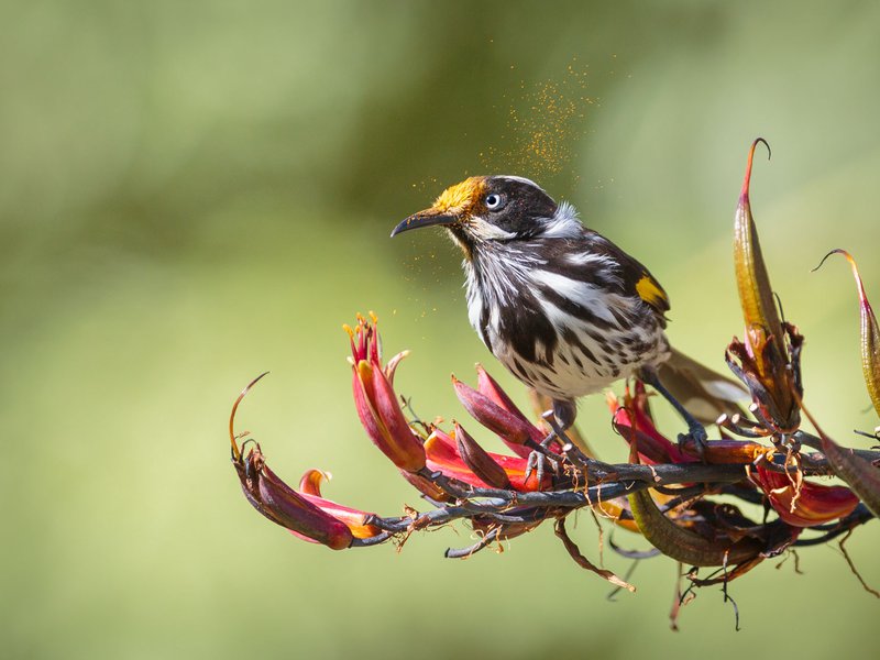 Australian Geographic Nature Photographer of the Year conversation ...