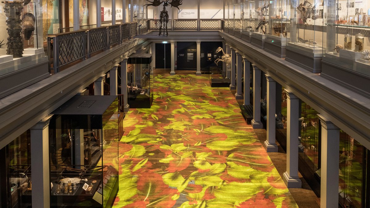 Westpac: The Westpac Long Gallery - The Australian Museum