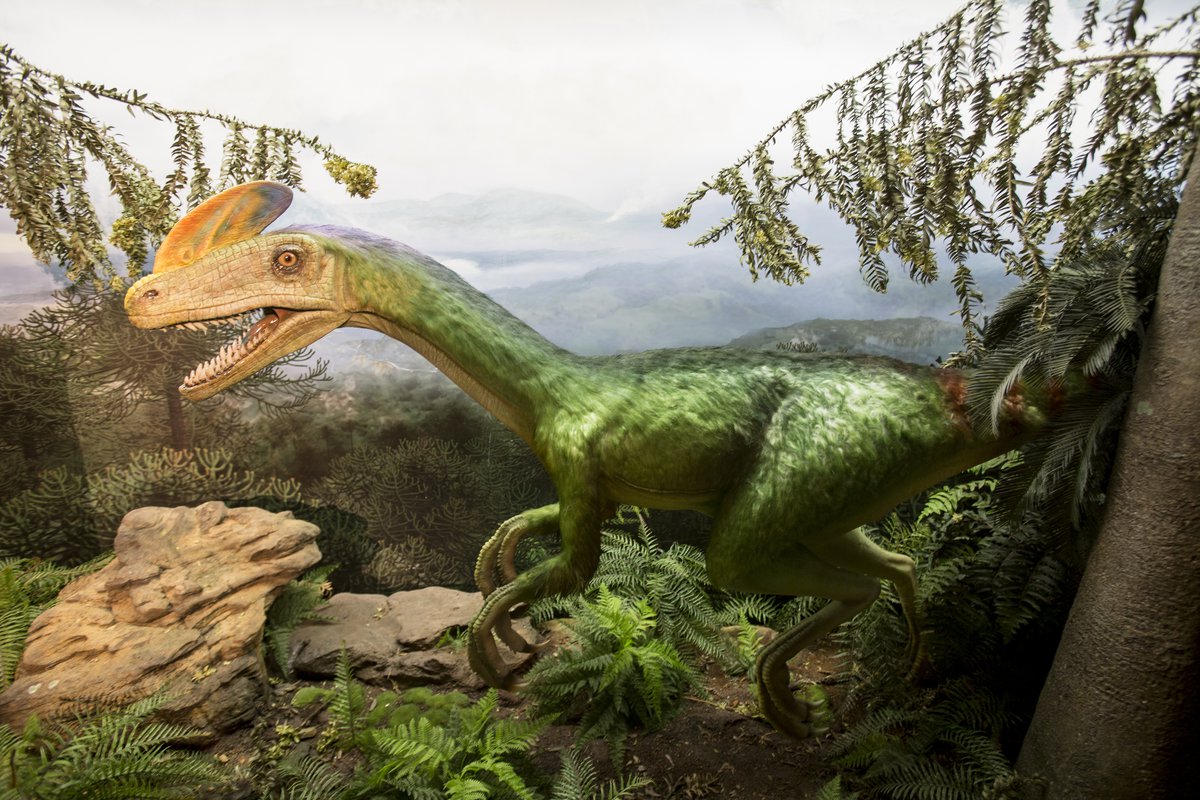 Explore Magazine – Summer 2013 - The Australian Museum