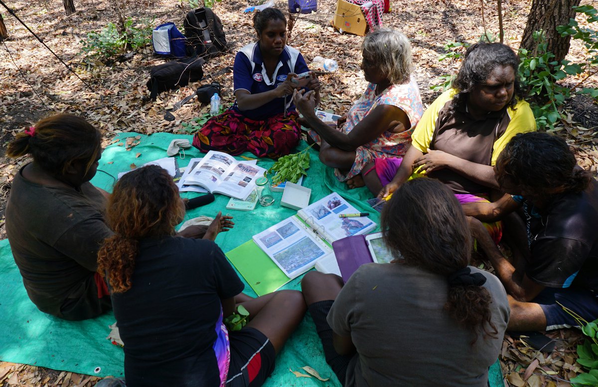 Prized connections - combining Indigenous knowledge with Western ...