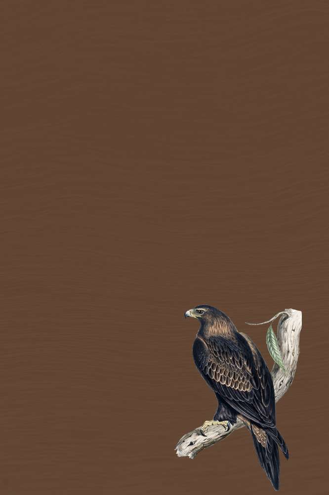 First Nations storytelling - The Australian Museum