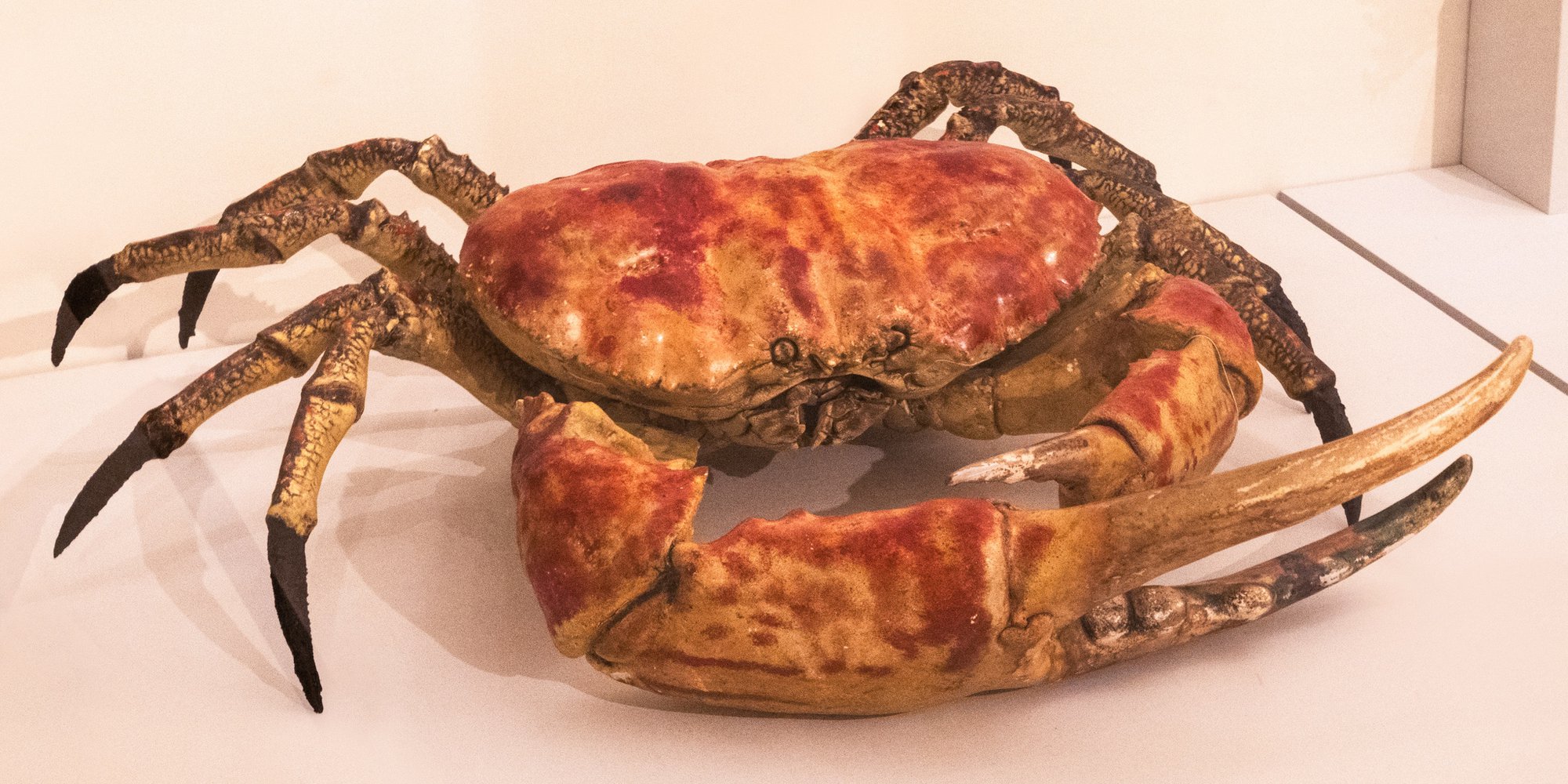 Wild Planet: Audio Tour - Audio Tour - Stop 13