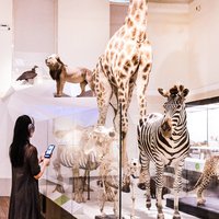 Wild Planet: Audio Tour - Audio Tour