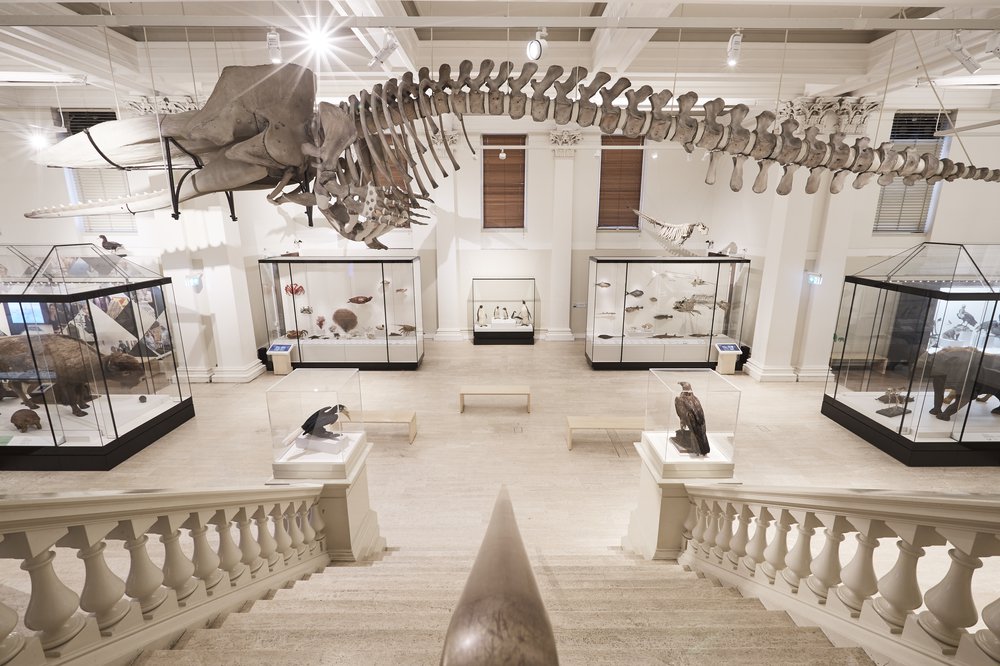 Australian Museum venue hire - The Australian Museum