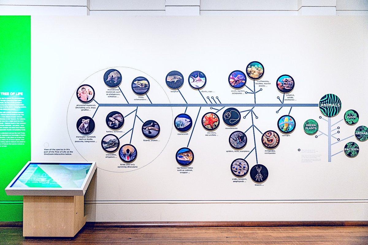 Wild Planet - The Australian Museum