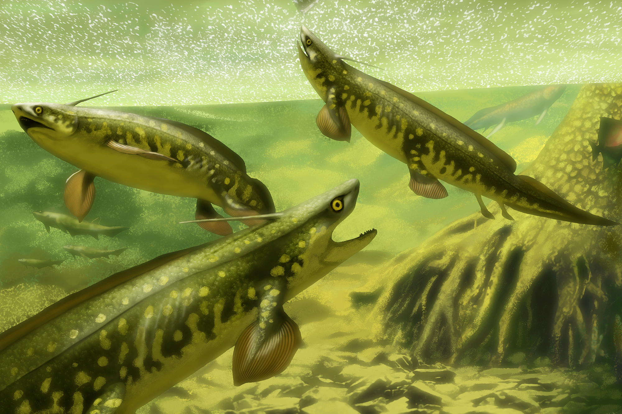 The ancient ones - The Australian Museum