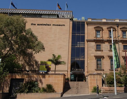 anti-capitalisation at the australian museum - The Australian Museum Blog