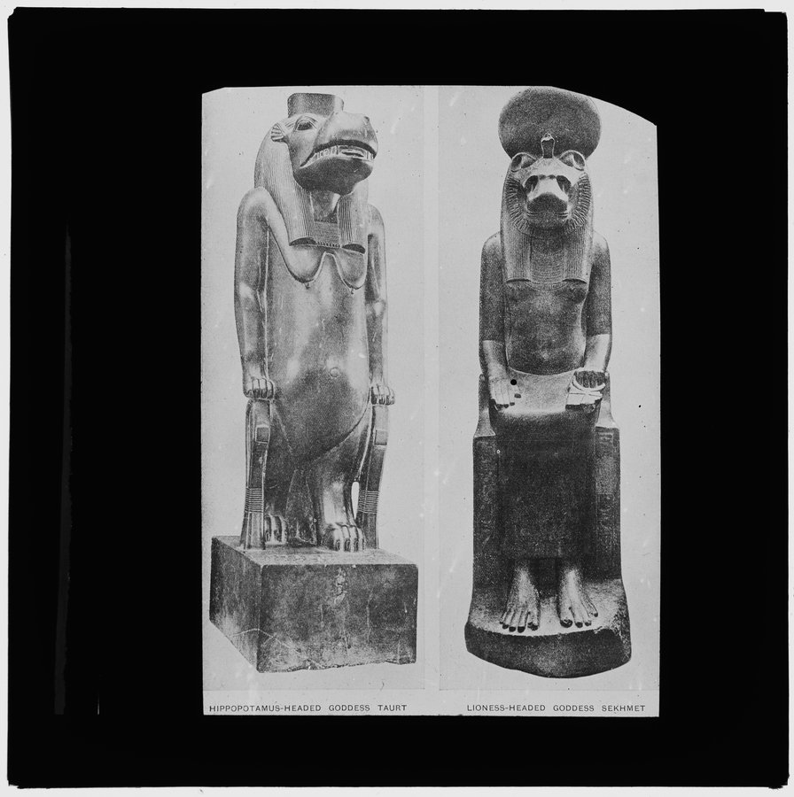 Ancient Egyptian Lecture Series - The Australian Museum Blog