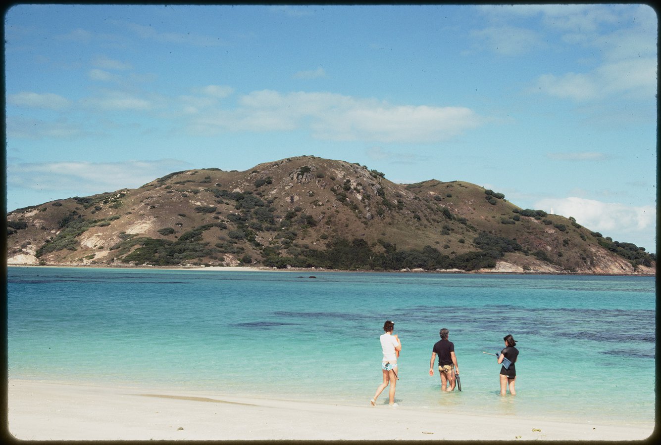 50 years of research on Lizard Island - The Australian Museum Blog
