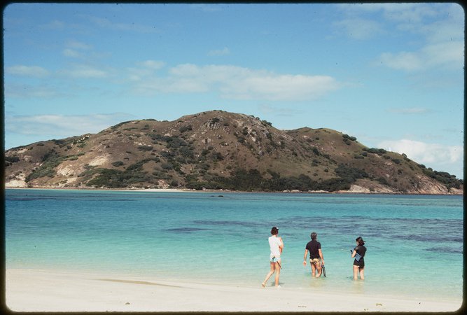 50 years of research on Lizard Island - The Australian Museum Blog