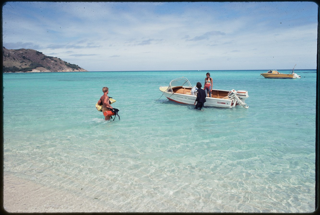 50 years of research on Lizard Island - The Australian Museum Blog