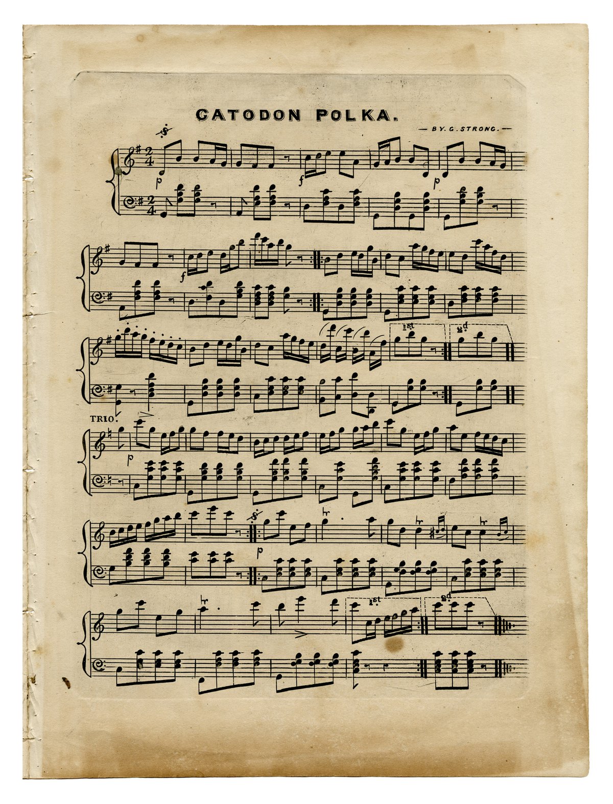 The Catadon Polka - The Australian Museum