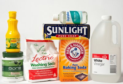 Healthy grime zappers - The Australian Museum